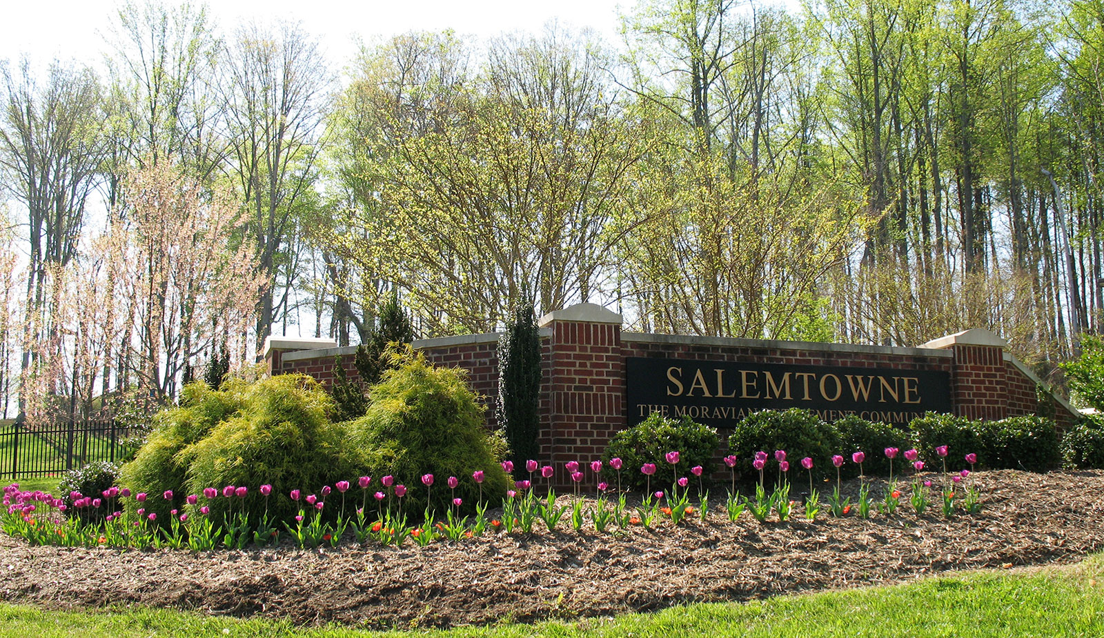 Homescreen (Salemtowne) | The Vectre